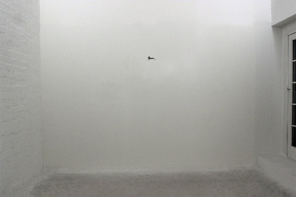 Deer artwork - Mark Haddon